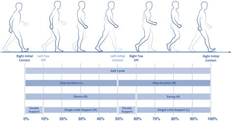 Gait Analysis In Parkinsons Disease An Overview Of The Most Accurate