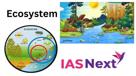 Ecosystem UPSC Current Affairs