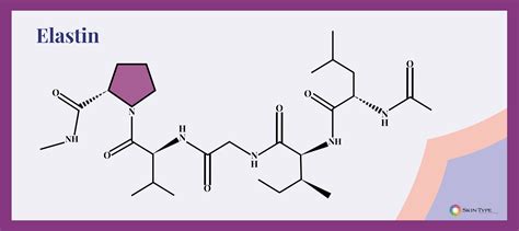 Glycation In Skin And Antiglycation Skin Care Products Skin Type