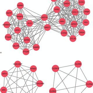 Module Analysis Of The PPI Network A Module B Module C Download Scientific Diagram