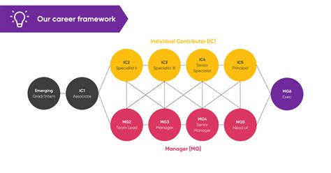 Ive Got A Career Framework Template—now What