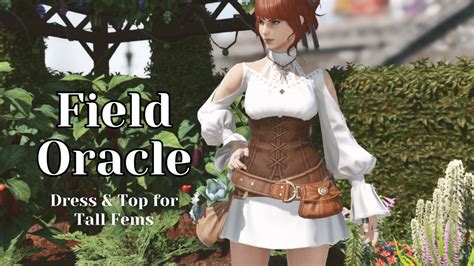 Field Oracle The Glamour Dresser Final Fantasy Xiv Mods And More