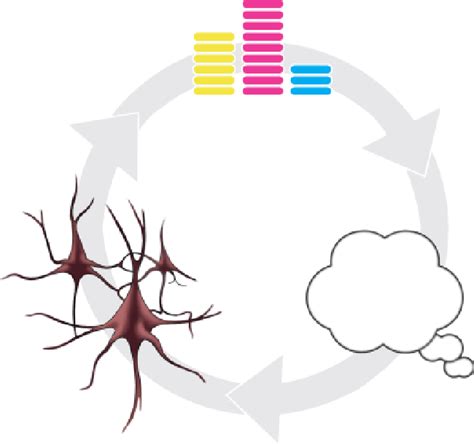 Figure 3 From The Future Of Psychology Connecting Mind To Brain
