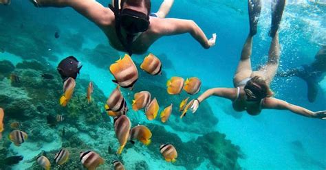 Bali Blue Lagoon Snorkeling Tour Getyourguide