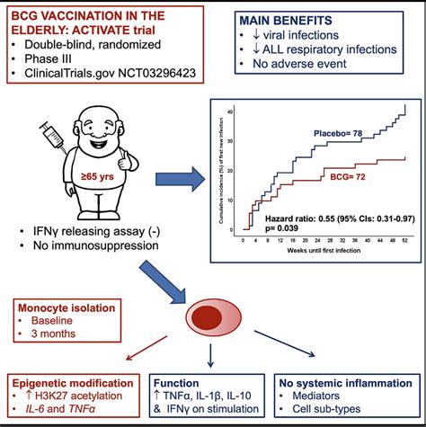 Bcg Vaccination Reduces Infection In The Elderly Immunopaedia