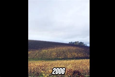 تصویر پس‌زمینه ویندوز Xp در گذر زمان