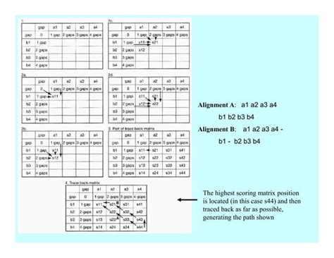Sequence Analysis Pairwise Alignmentpdf