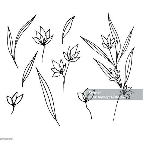 식물 벡터 삽화 세트입니다 꽃이 있는 나뭇가지는 배경 없이 분리되어 있습니다 카드 문신 로고 포장 웨딩 장식을 위한 최소한의 잉크 일러스트레이션 개체 그룹에 대한 스톡 벡터