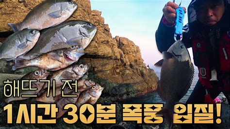 해뜨기 전 긴꼬리와 볼락으로 재밌는 손맛 Ft 자리돔 6월7일 Youtube