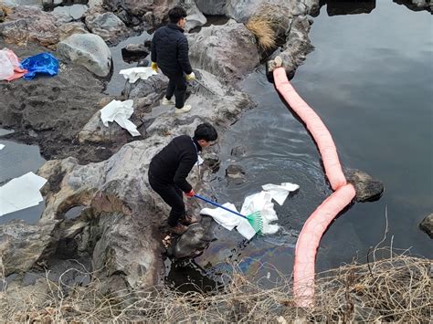 서귀포시 여름철 수질오염물질 배출사업장 특별점검