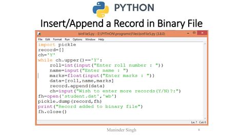 51 Binary File Handlingpdf Programming Languages Computing