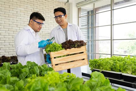 Scientist Team Doing Experiment In Agriculture Lab To Develope Genetic