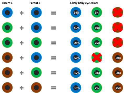 Eye And Hair Color Genetics Chart