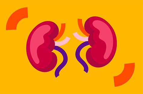 Kenali Hiperfosfatemia Kondisi Saat Tubuh Kelebihan Fosfat