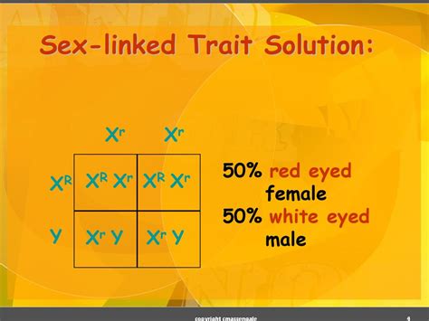 Copyright Cmassengale Ppt Download