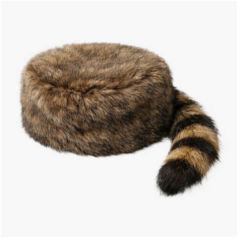 Coonskin Cap 3d Model