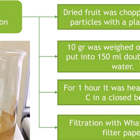 Ficus Carica Common Fig Extract Original Image Download Scientific Diagram