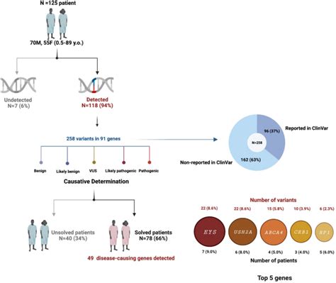 Eys 基因相关性视网膜色素变性的基因型和表型特征：一项回顾性研究 Scientific Reports X Mol