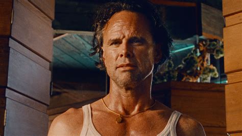 Smuggler Doritos “a Spicy But Not Too Spicy Plumber”