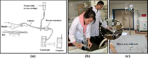 A Schematic Diagram Of Perfusion Experiment B Perfusion Experiment Download Scientific