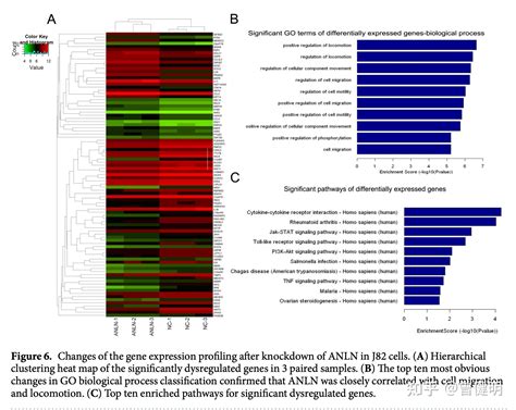 同一个文章使用两个不同转录组测序差异分析方法 知乎