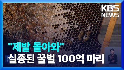 지난 가을 꿀벌 100억 마리 실종…원인은 Kbs 2023 02 22 Youtube