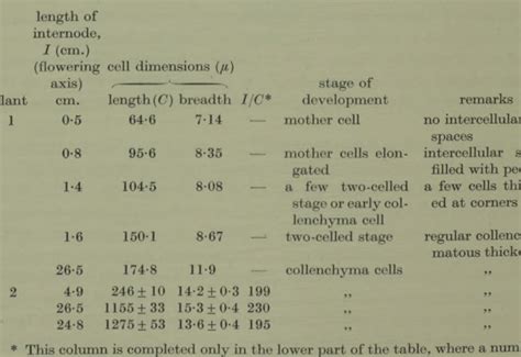 Collenchyma Cell Parts