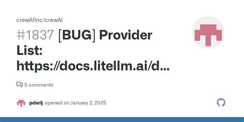 Bug Provider List Docslitellmaidocsproviders Errorroot