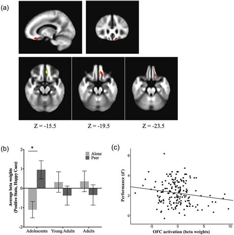 Orbitofrontal Activity By Age Group And Behavioral Performance A Download Scientific Diagram