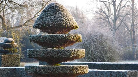 Can You Save A Plant Thats Been Exposed To Frost Ideal Home