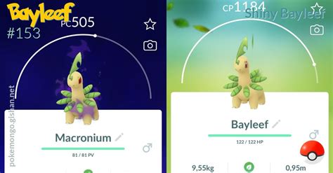 Shiny Bayleef