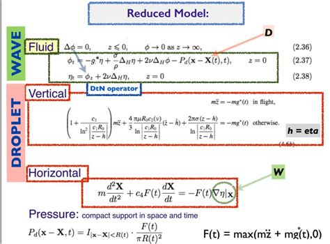 Numerical Simulation