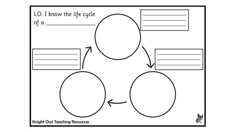 Life Cycle Templates