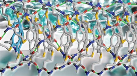 New Study Shows The Impact Of Seed Type On Final Structure Of Polymers