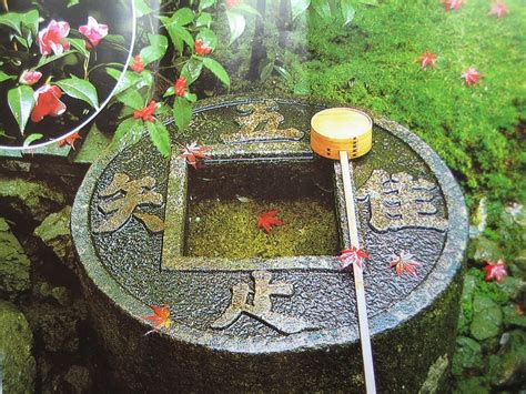 Garden Pond Design