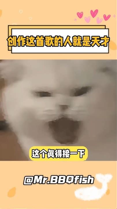 听到这首歌的人都会暴富猫猫 娱乐 搞笑 Youtube