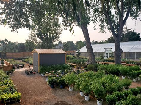 Meet Jessica And Eric Beck Owners Of Urban Garden Shoutout Colorado