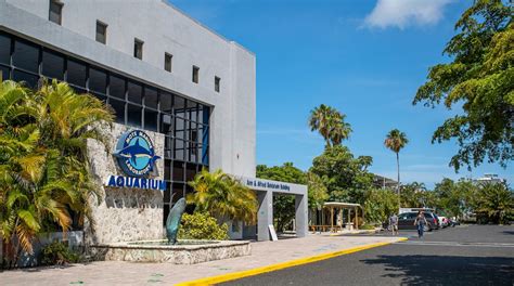 Mote Marine Laboratory And Aquarium In Sarasota Uk