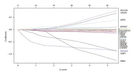 Lasso Cox Regression Model Construction A λ Selection By 10 Fold Download Scientific Diagram