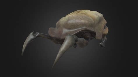 Headcrab 3d Models Sketchfab
