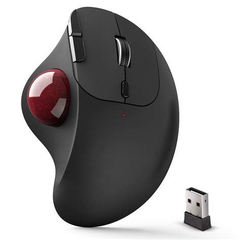 Amazon Ball Mouse At Sarah Solomon Blog