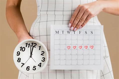Can You Get Pregnant Without Ovulating Fertility Facts All Inclusive Preventive Care