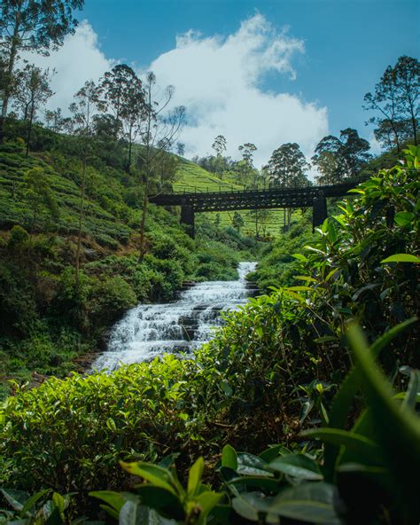 Tharindu Madhusanka Tharindumadhusanka9 • Instagram Photos And Videos