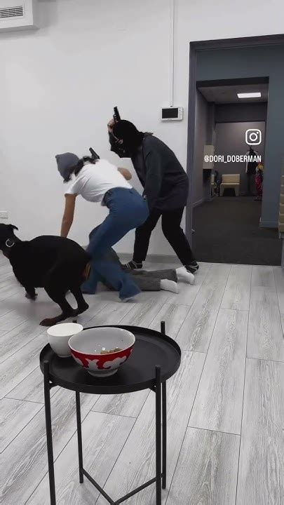 سگ خریدم که دزد نیاد خونه سگم😐 Youtube