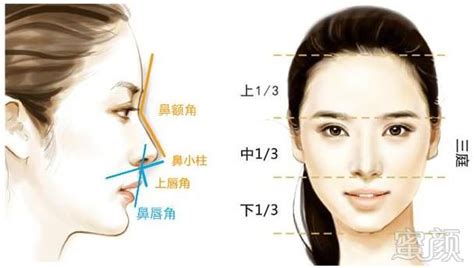 小猪佩奇为什么这么火 难道是拥有这款鼻 蜜颜优惠