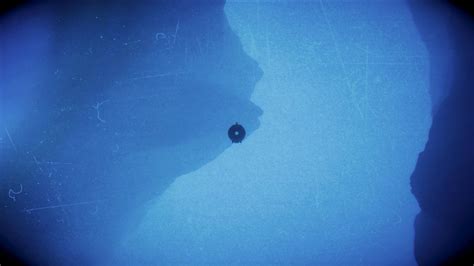 Buy Cheap Bathysphere Cd Key 🏷️ Best Price Gg Deals