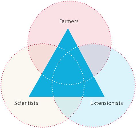 Triangulation Methodology Download Scientific Diagram