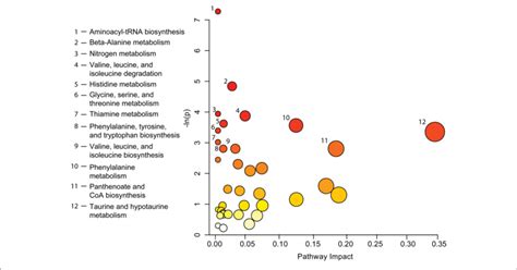 Pathway Topology Analysis Completed By Entering A List Of Significant