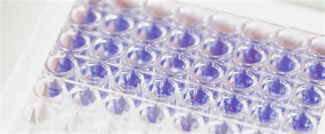 ECTD Modules And Formats Explained Celegence