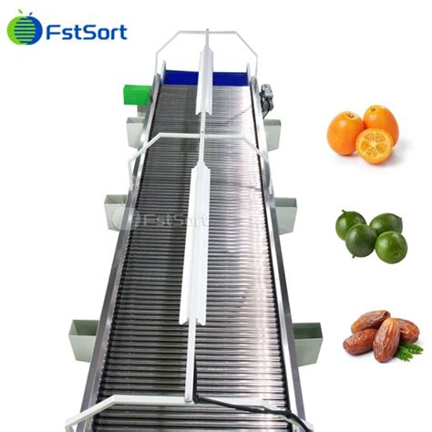 Fruit Sorter Grader Fruit Sizing Machine Jujube Classification Dates Cleaning Machine Fruit